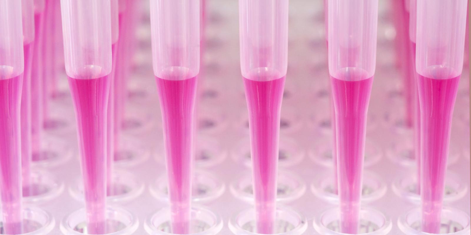 Our pipeline | Cancer Research Horizons