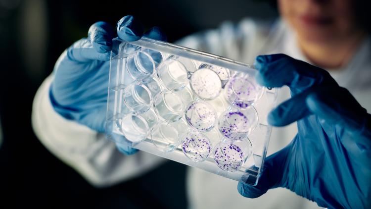 About us | Cancer Research Horizons - Cancer Research UK