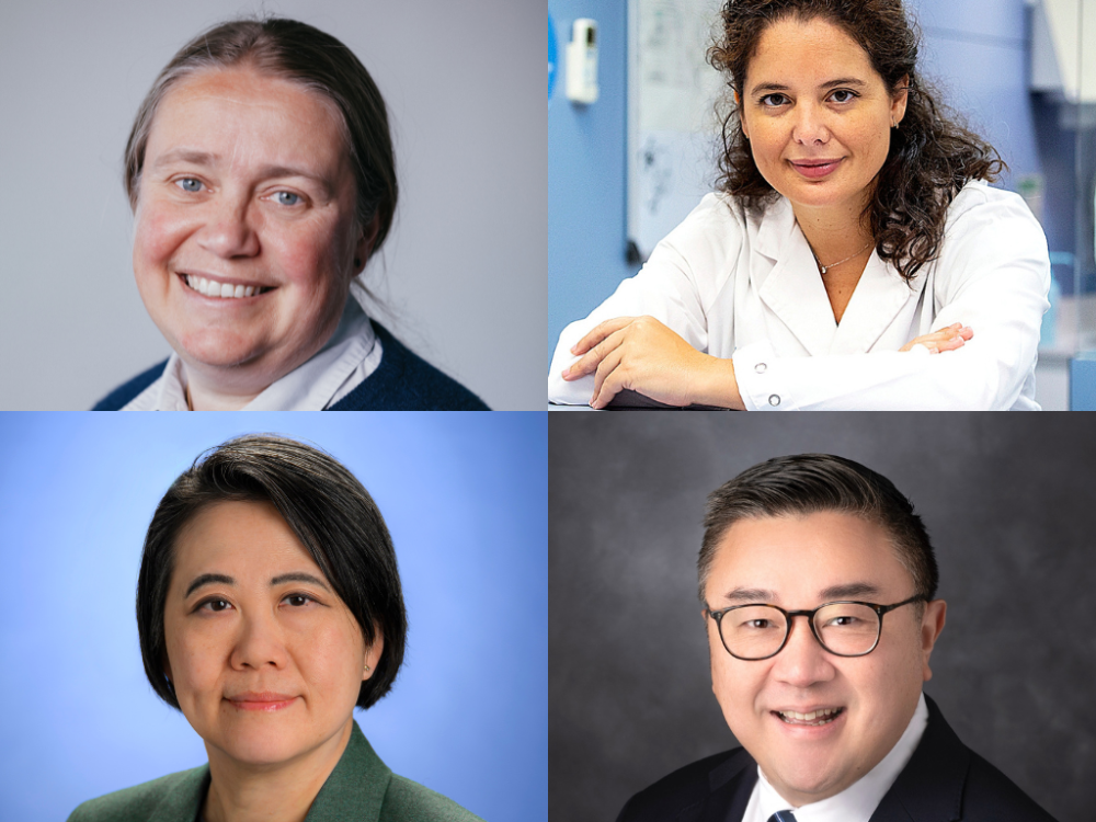 Our portfolio | Cancer Research Horizons