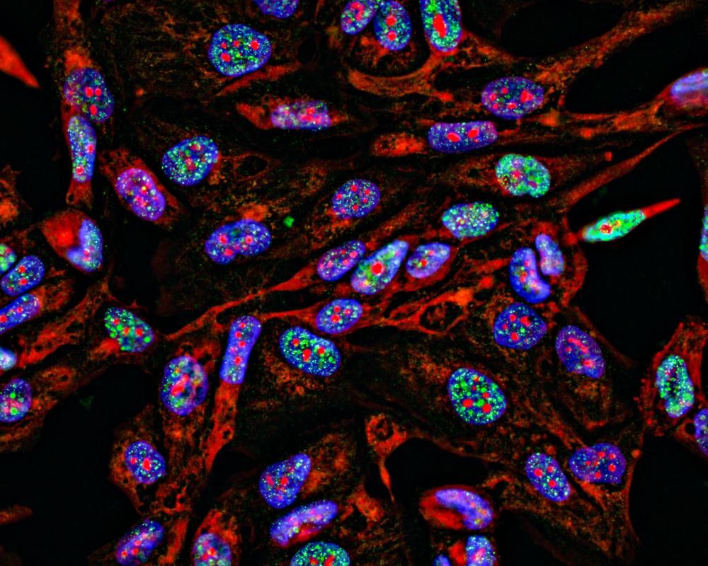 Our portfolio | Cancer Research Horizons